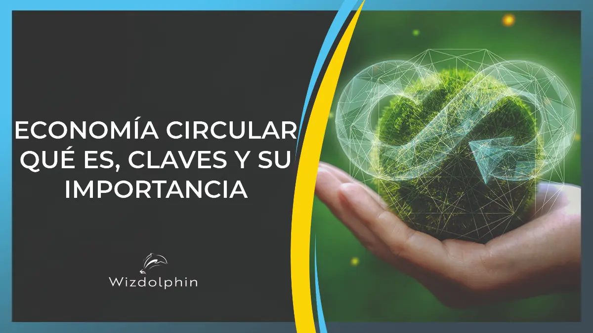Qué es la Economía Circular y Por Qué Es Importante
